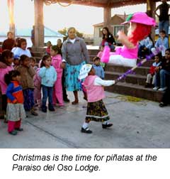 Laurie Pepitone – The California Native