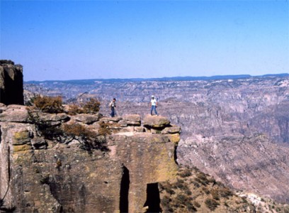 The Chronicle of Copper Canyon – The California Native